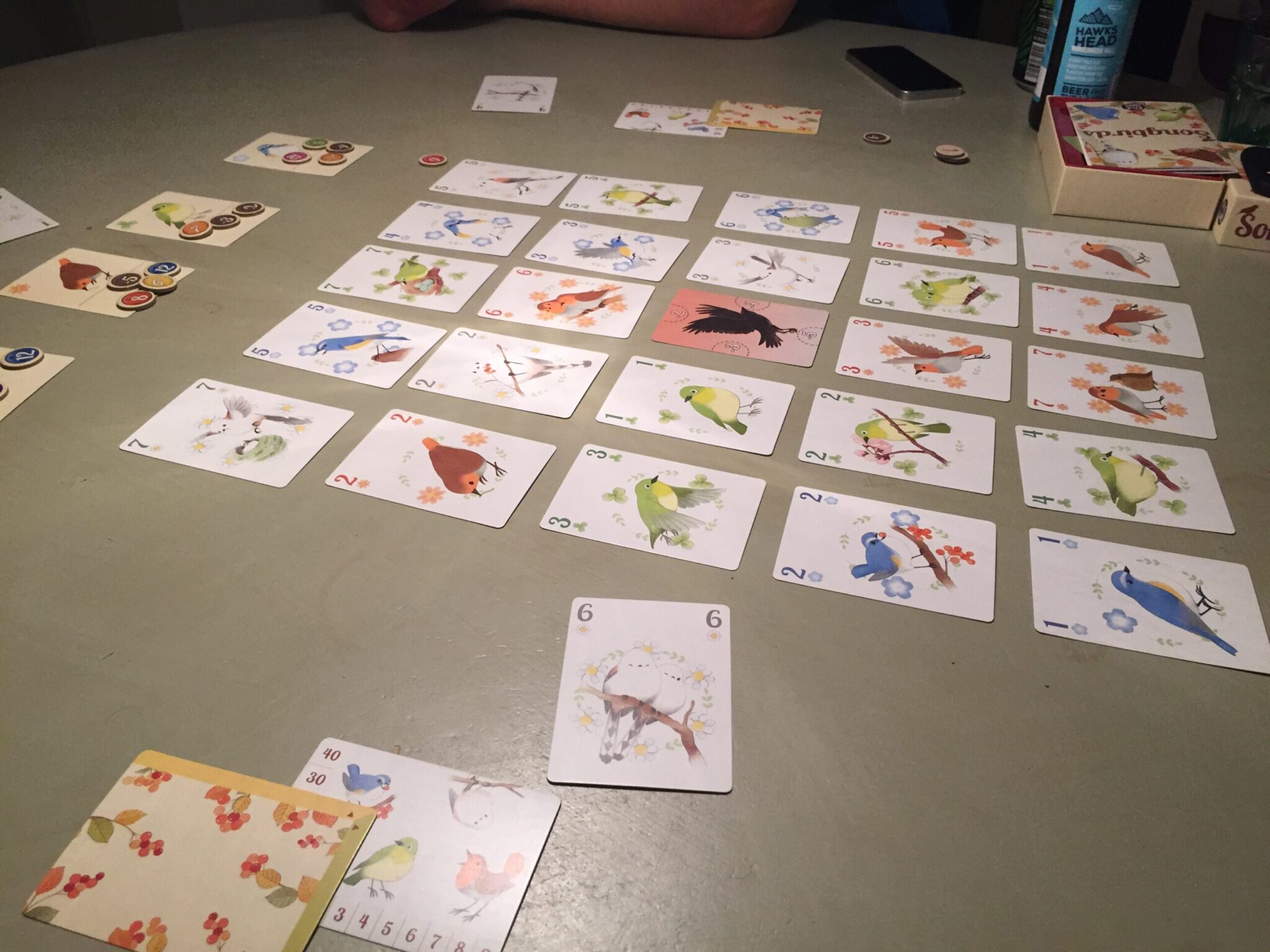 Birdie Fight / Songbirds