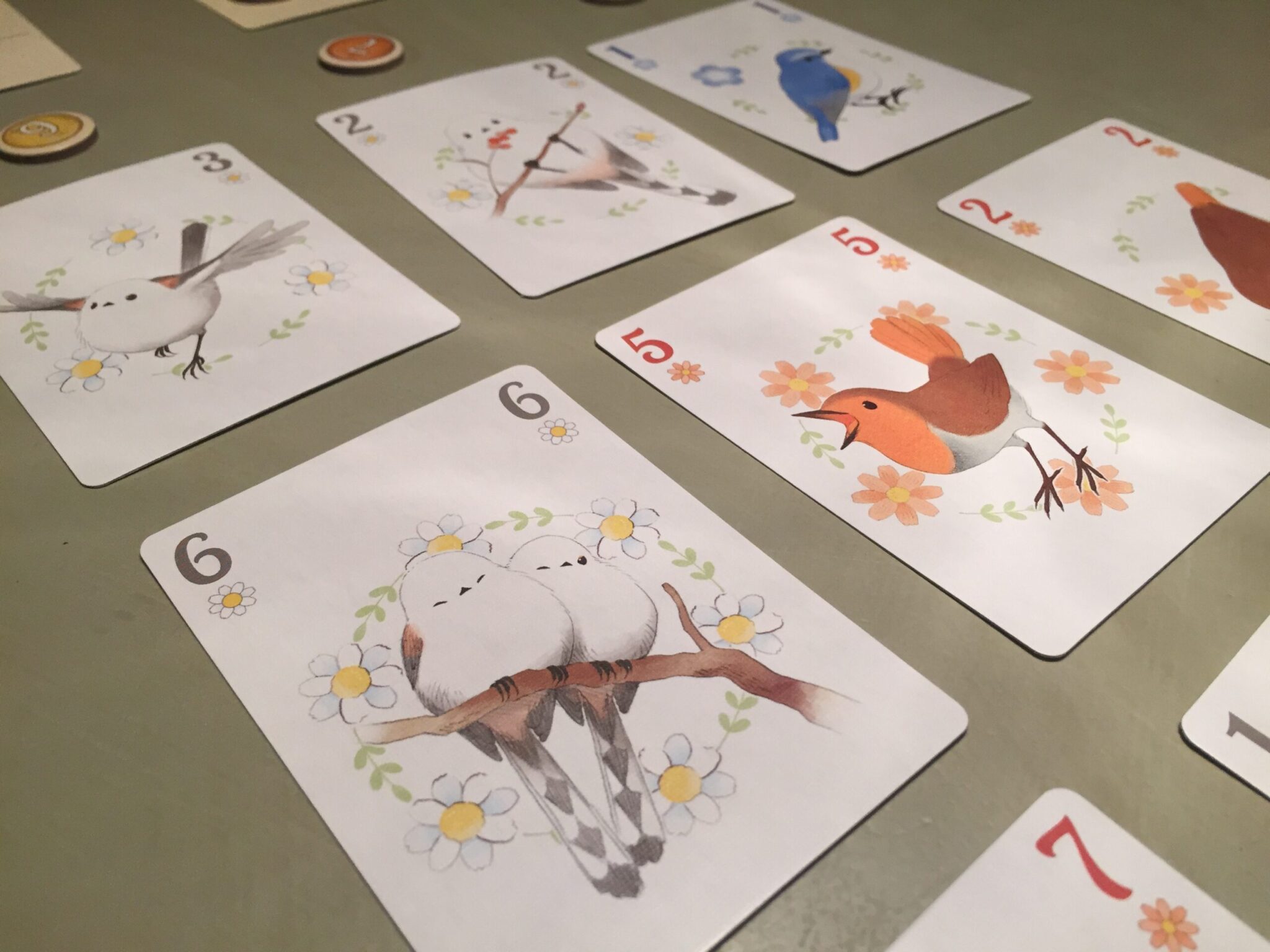 Birdie Fight / Songbirds